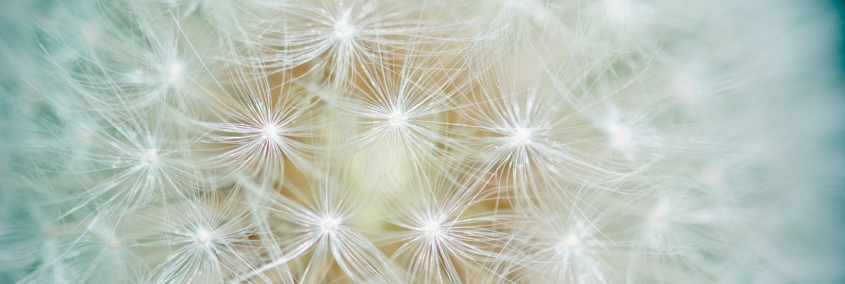 Privacy Policy - Michael Benjamin, MD, FACOG